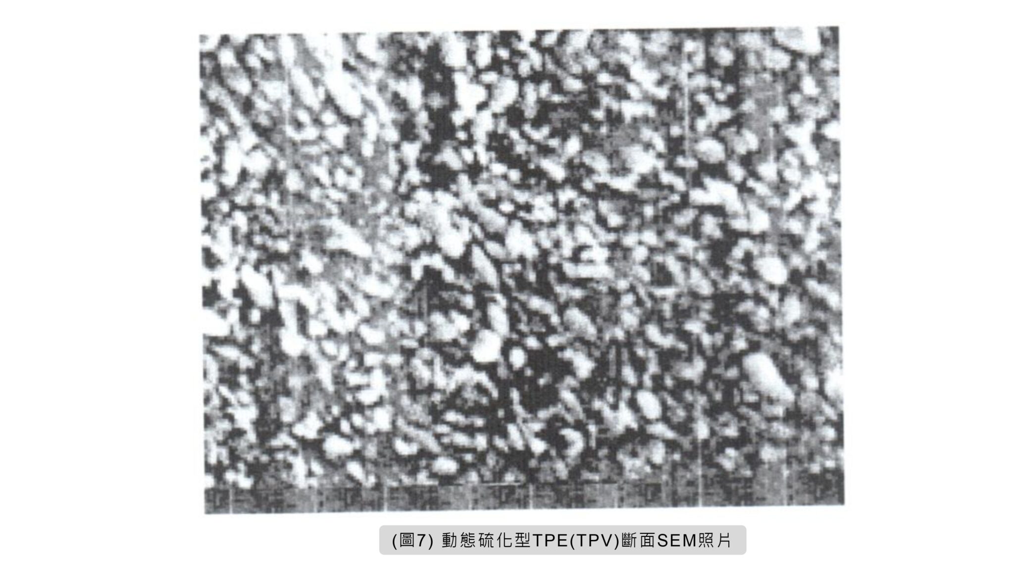 熱塑性聚烯烴類彈性體 (TPO|TPV) - Ken's Blog